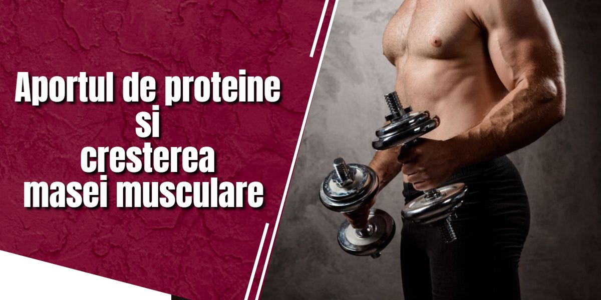 Aportul de proteine si cresterea masei musculare