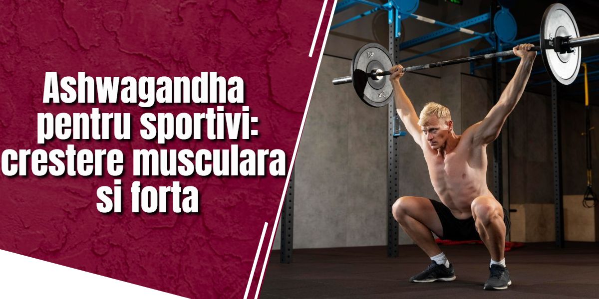 Ashwagandha pentru sportivi: crestere musculara si forta